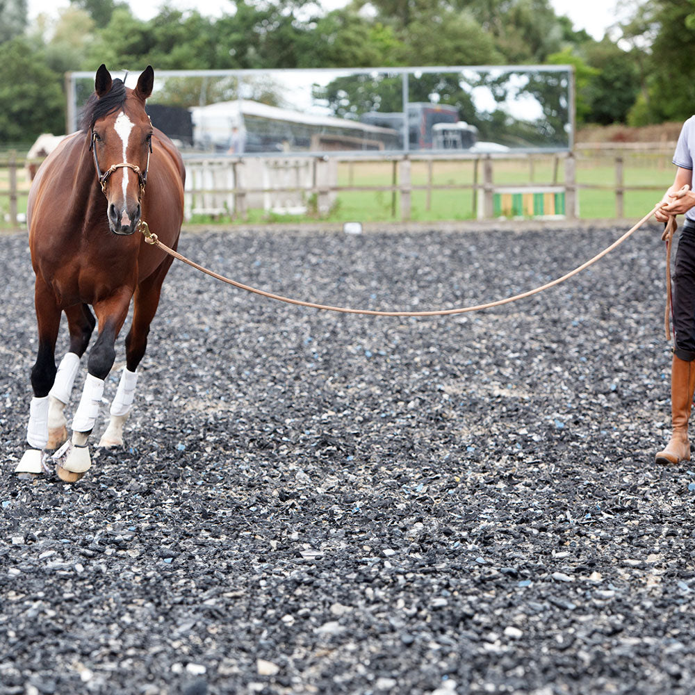 14' Working Rope – The Horse Education Company Ltd