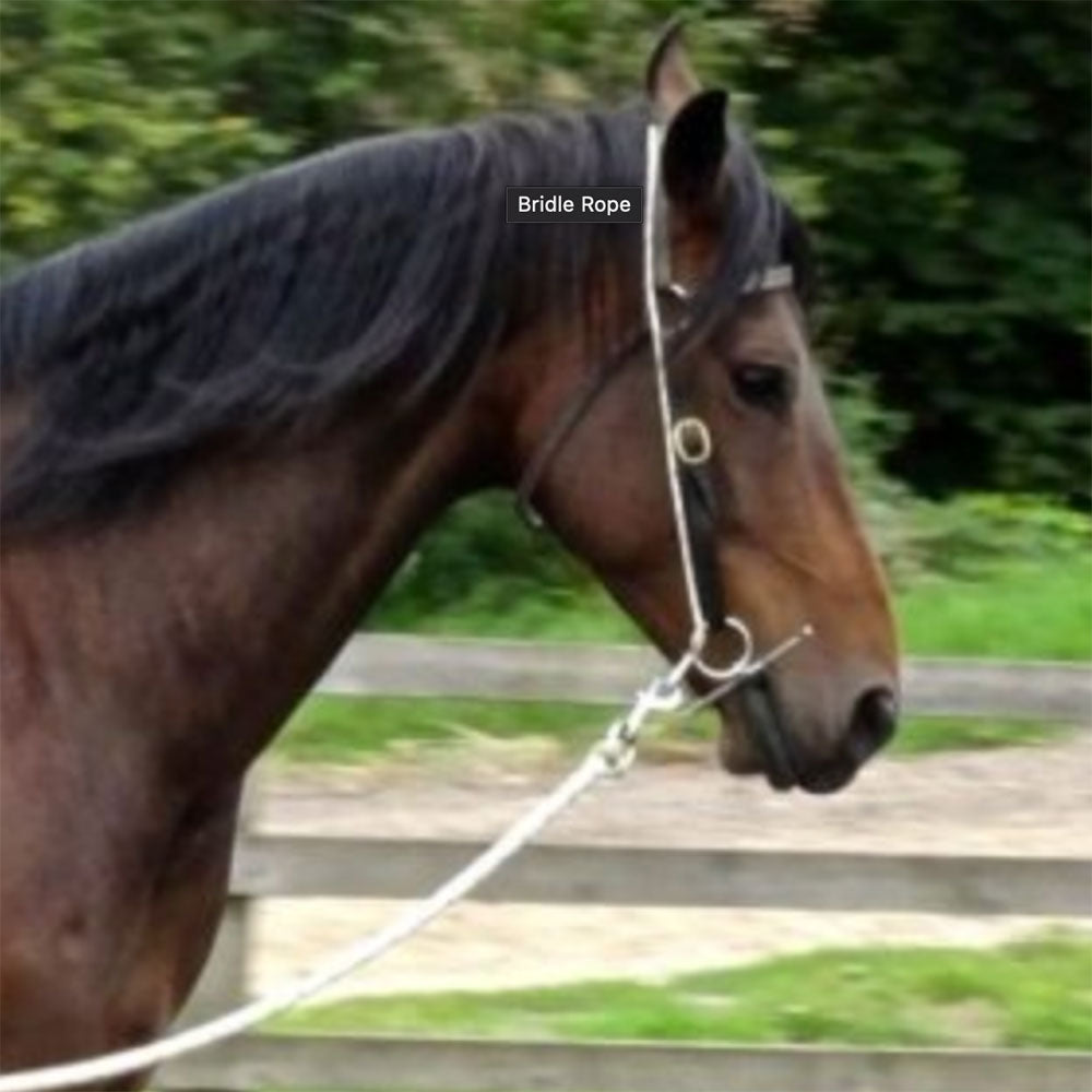 Bridle Rope – The Horse Education Company Ltd