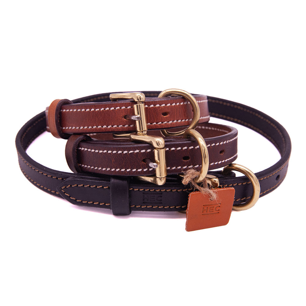Classic Leather Dog Collar – The Horse Education Company Ltd